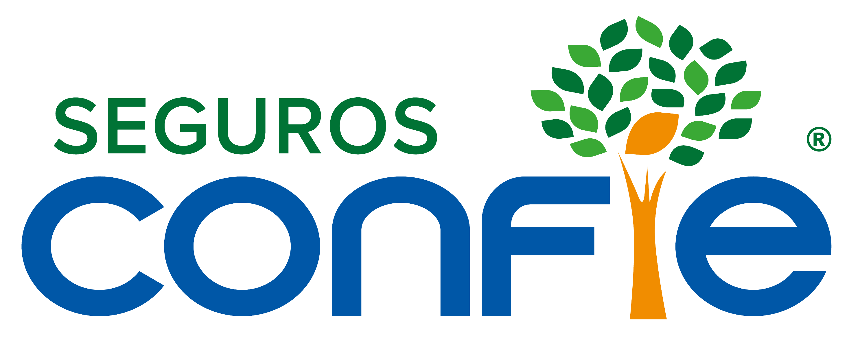 Confie TA Admin - Continuous Improvement Director in Ciudad de México